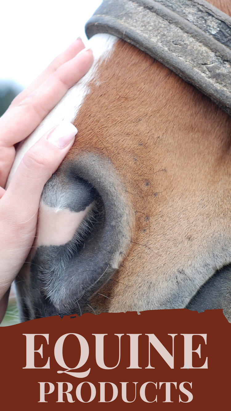 Elite Global | All Natural Equine,Canine and Human Supplements