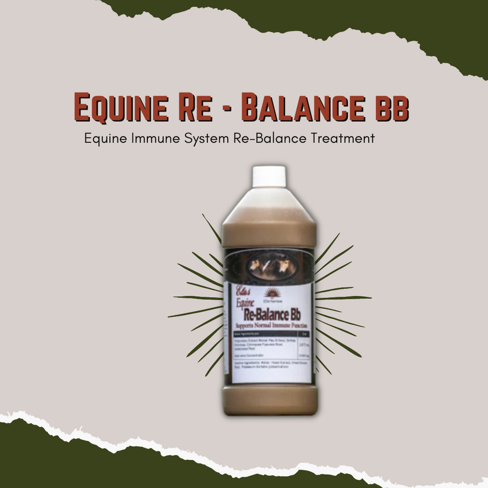 Equine Rebalance Bb - Equine Immune System Re-Balance Treatment – Elite ...